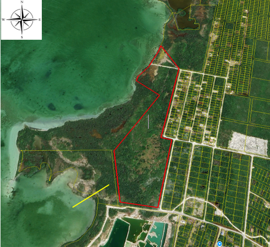 40.33 acres of land being situated in the San Pedro Registration ...